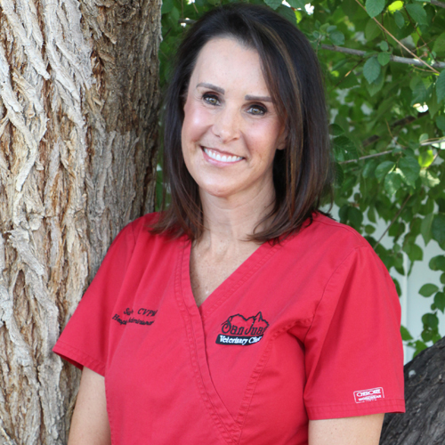 Team - San Juan Veterinary Clinic